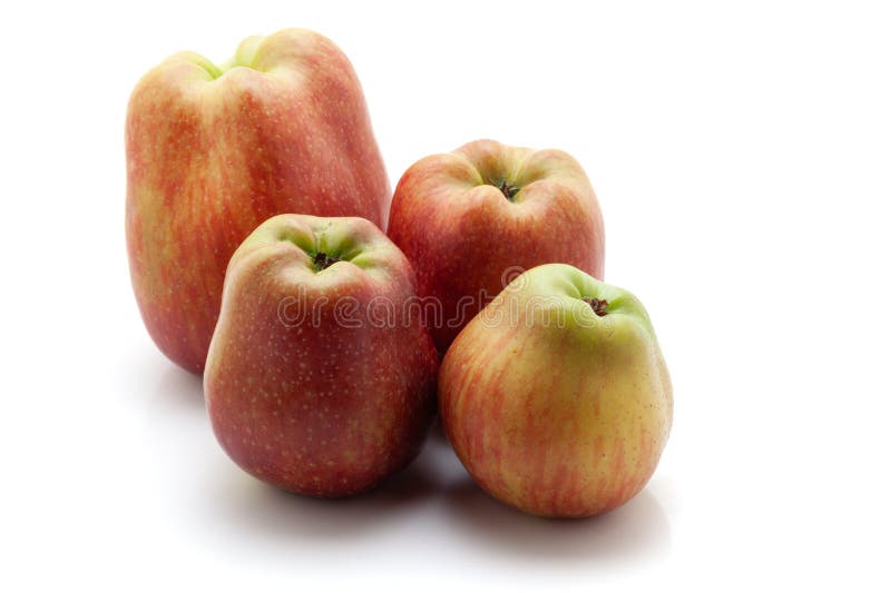 Whole Apples of Different Sizes are Placed Separately on a White ...