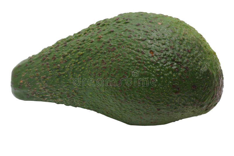 Whole avocado stock image. Image of fresh, healthy, protein - 1675285