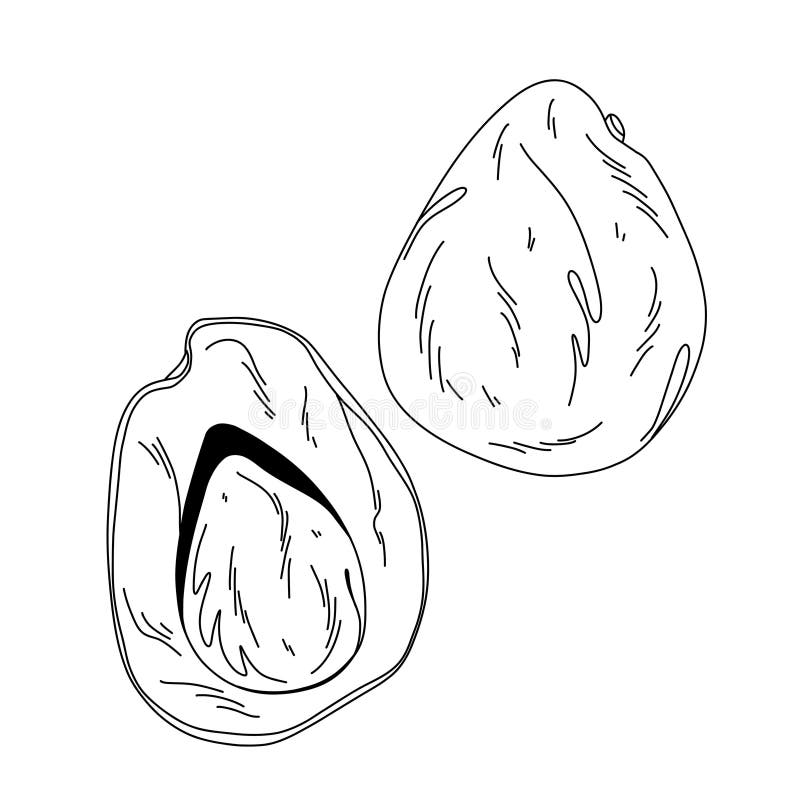 Pit Outline Stock Illustrations – 1,939 Pit Outline Stock Illustrations ...