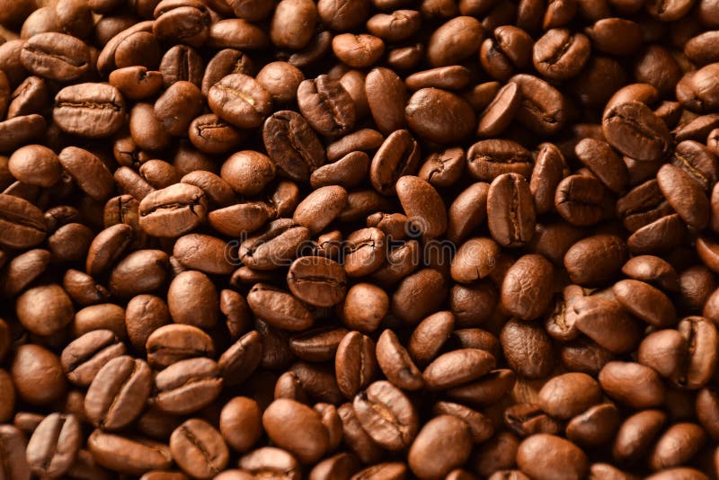 The Whole Background is Covered with Large Coffee Beans Stock Image ...
