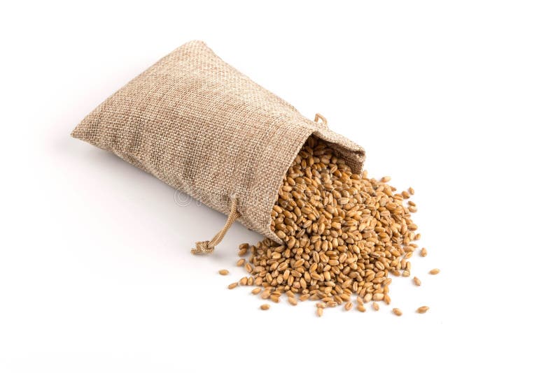 Whole Background of Wheat Grain Stock Photo - Image of crop, texture ...