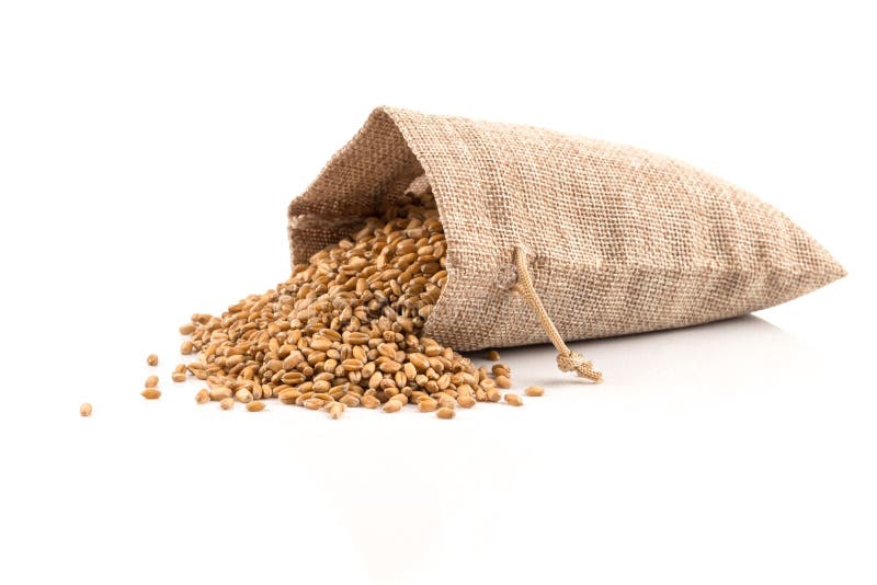 Whole Background of Wheat Grain Stock Photo - Image of texture, light ...