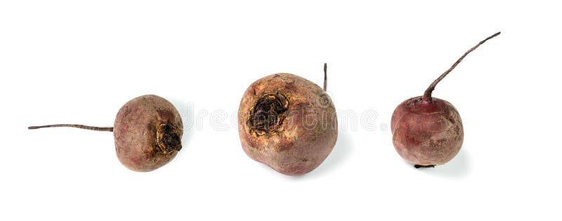 Whole Beet Roots Isolated, Beetroot, Eco Bio Red Beets, Raw Beet Root ...