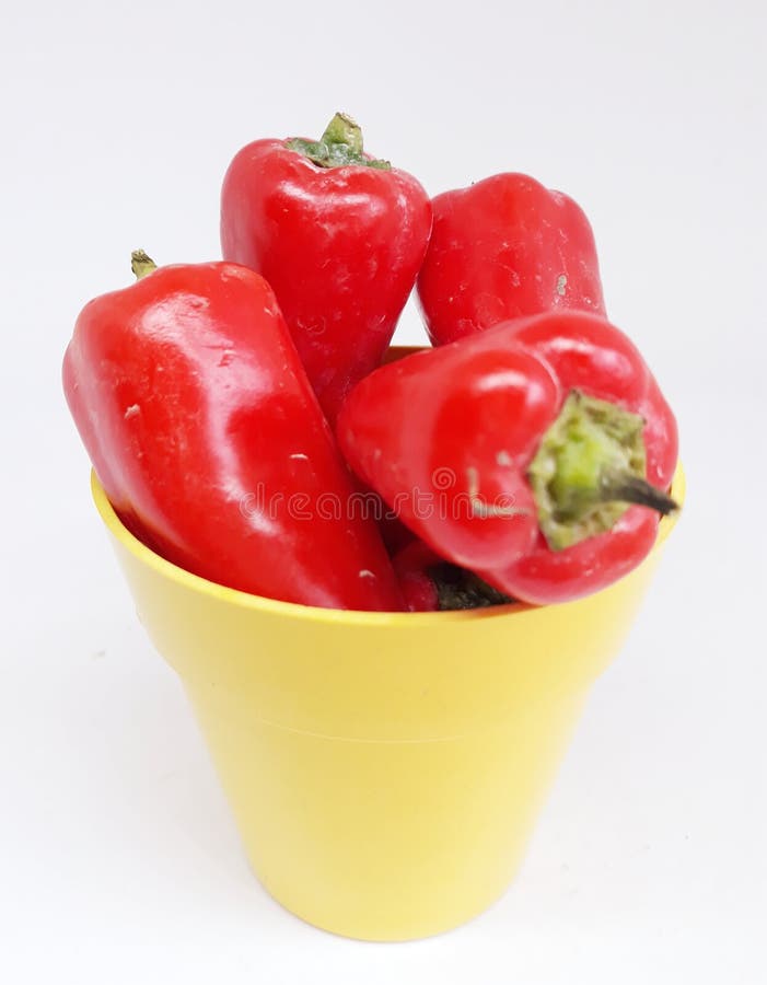 Small red chilli stock photo. Image of chilli, small - 143095982