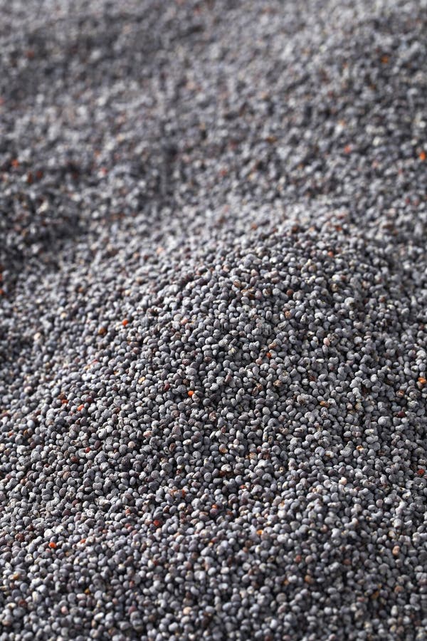 Whole Black Poppy Seeds Background Stock Image - Image of organic ...