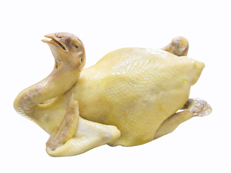 Raw Whole Chicken With Head