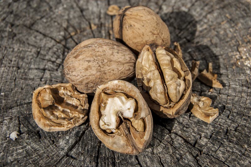 Whole and Broken Fresh Walnuts Stock Image - Image of brown, nutshell ...