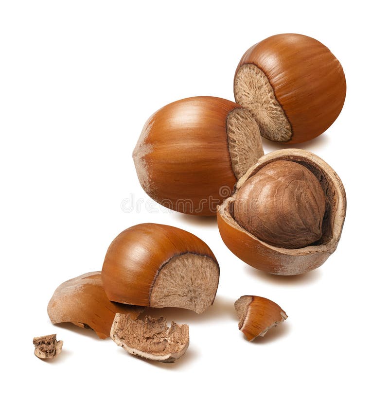 1,706 Nutshell Vertical Stock Photos - Free & Royalty-Free Stock Photos ...