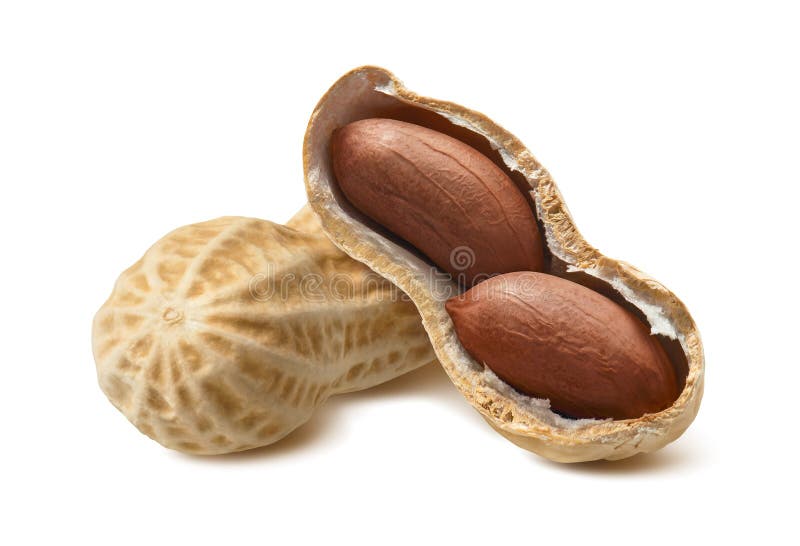 Whole and Broken Peanuts Isolated on White Background Stock Photo ...