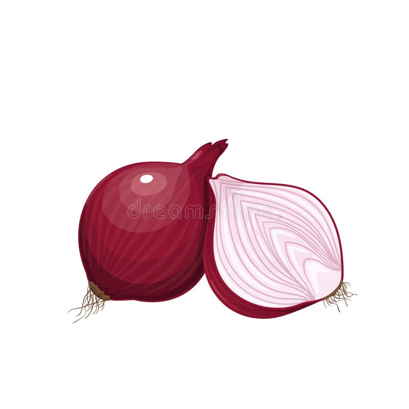 Red Onion Set, Whole Onion with Leaf, Cut in Half Slices, Sections and ...