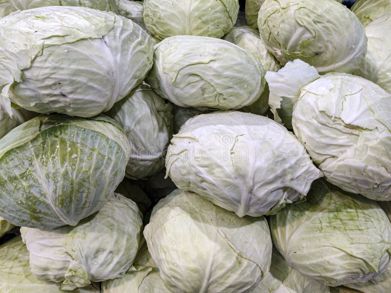 Whole cabbage on display stock image. Image of colour - 232357117