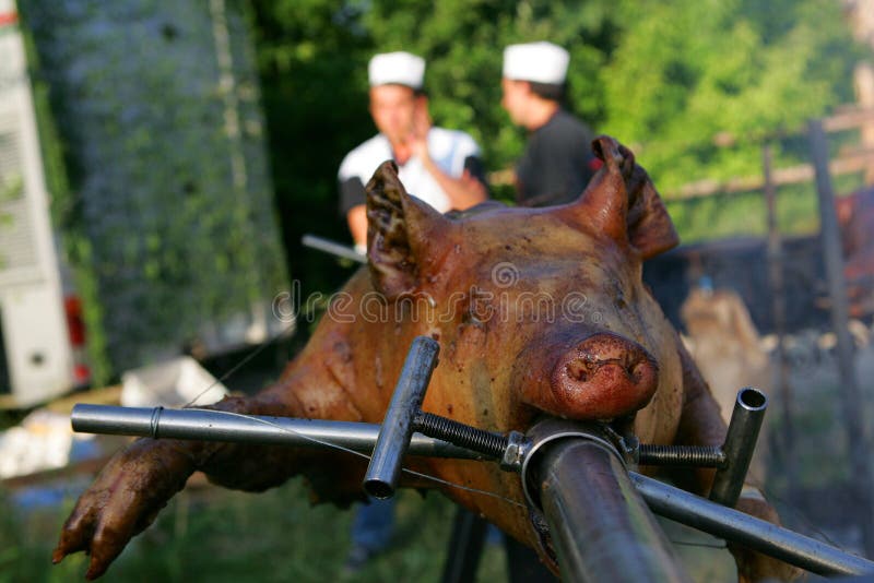 Whole Carcass of a Pig Roasting on the Grill Stock Image - Image of ...