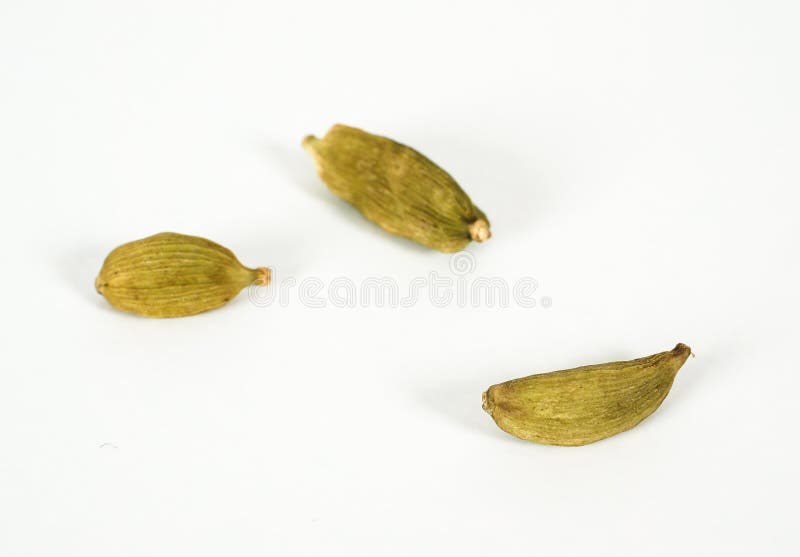 Whole cardamom pods stock image. Image of fragrance, healthy - 46309873