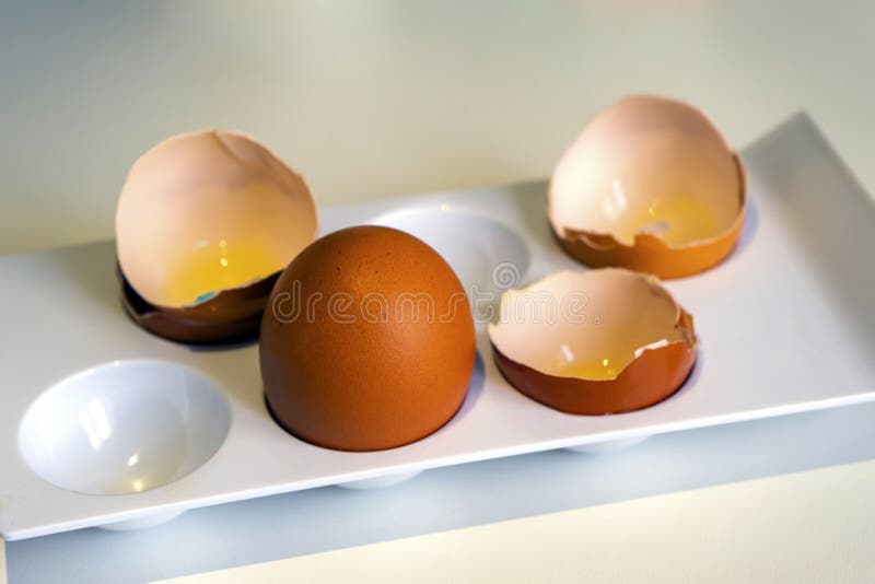 Whole Chicken Egg among the Shells. One Whole Chicken Egg among the ...