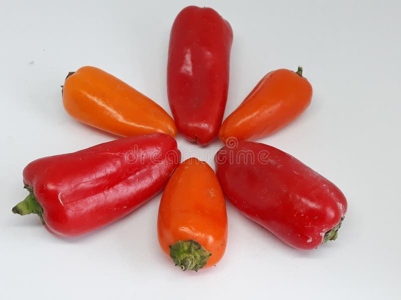 Small red chilli stock photo. Image of pepper, chilli - 143095754