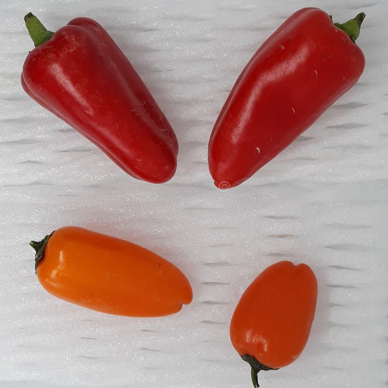 Small red chilli stock photo. Image of peppers, small - 143095666