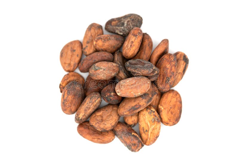 Whole cocoa nut stock image. Image of dark, chocolate - 235584677