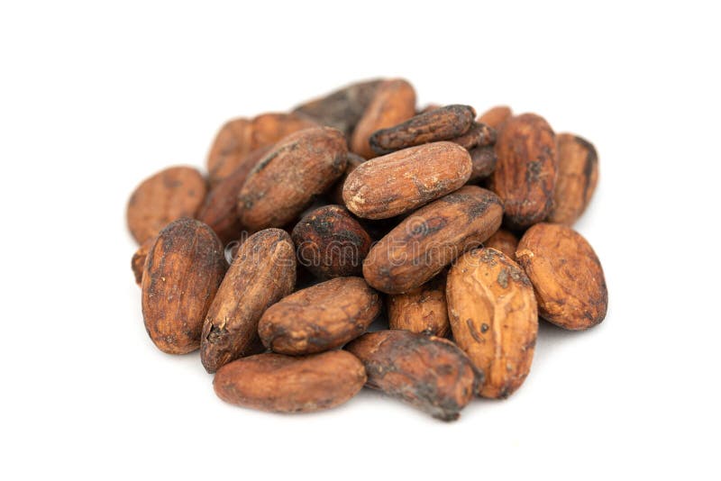 Whole cocoa nut stock photo. Image of natural, tasty - 235584680