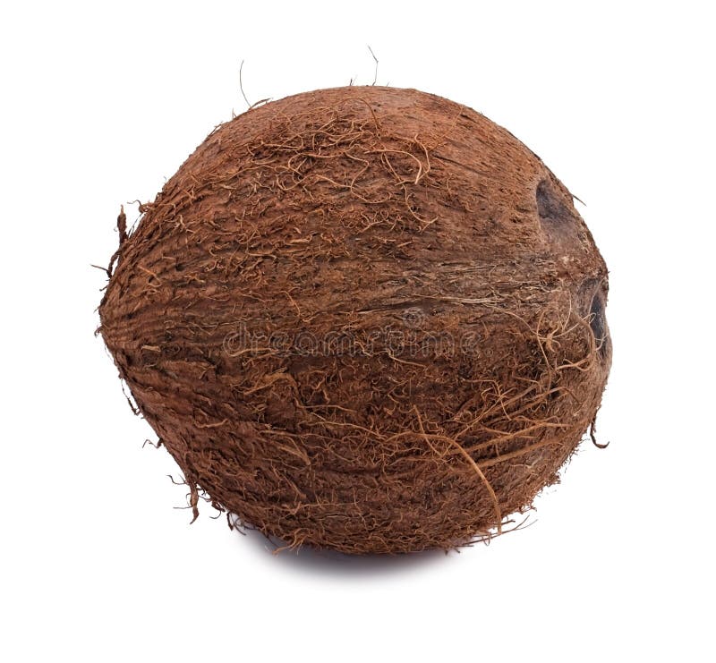 Whole coconut stock image. Image of isolated, macro, nature - 17424107