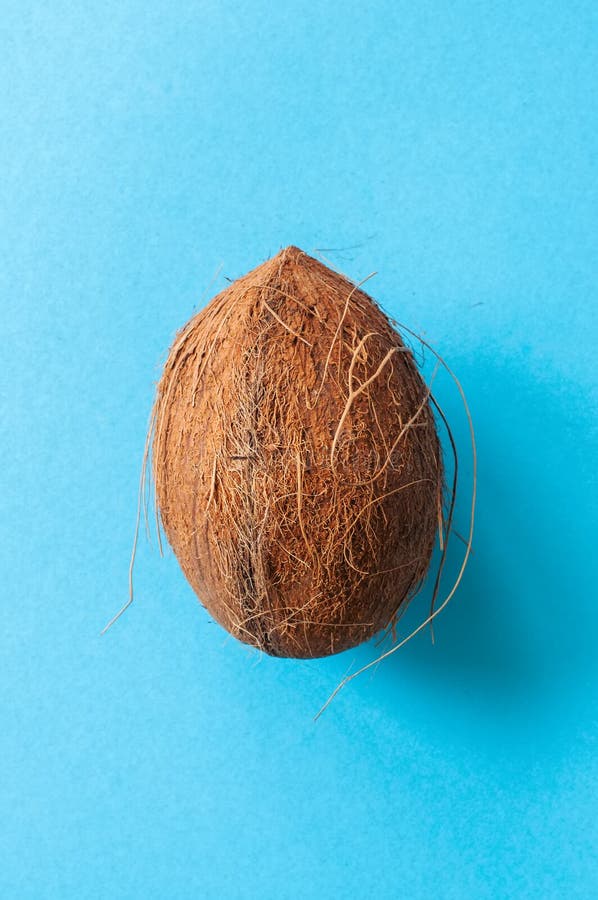 Whole Coconut on a Blue Background. Stock Image - Image of food ...