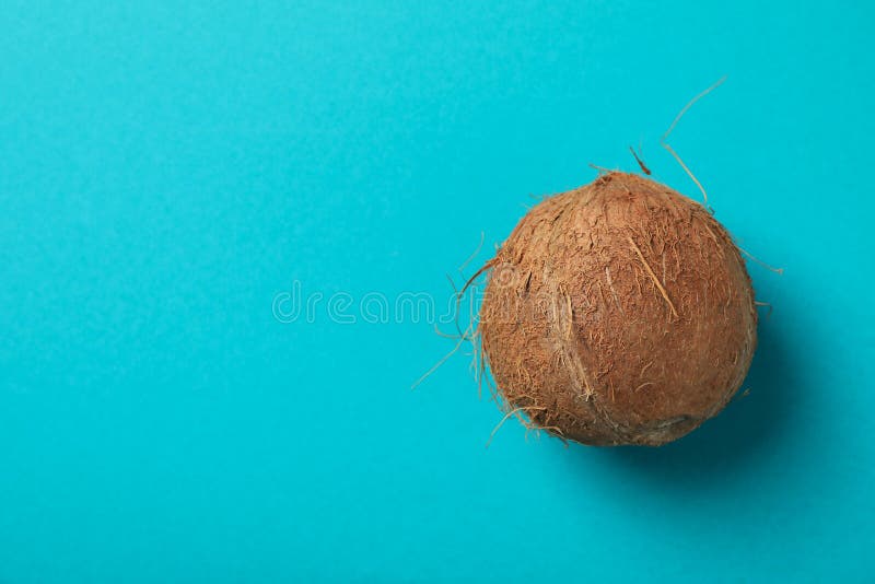 Whole Coconut on Blue Background Stock Image - Image of gourmet, sunny ...