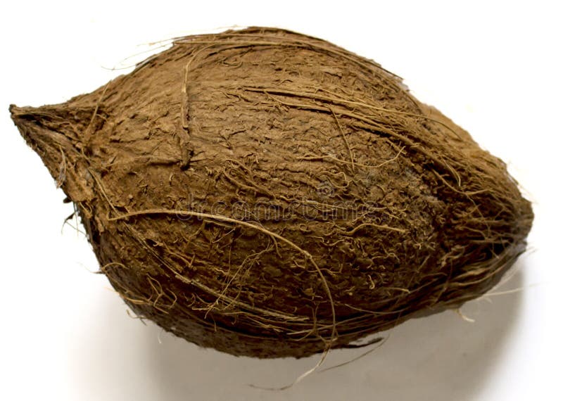 Whole coconut on display stock photo. Image of sweet - 128093310