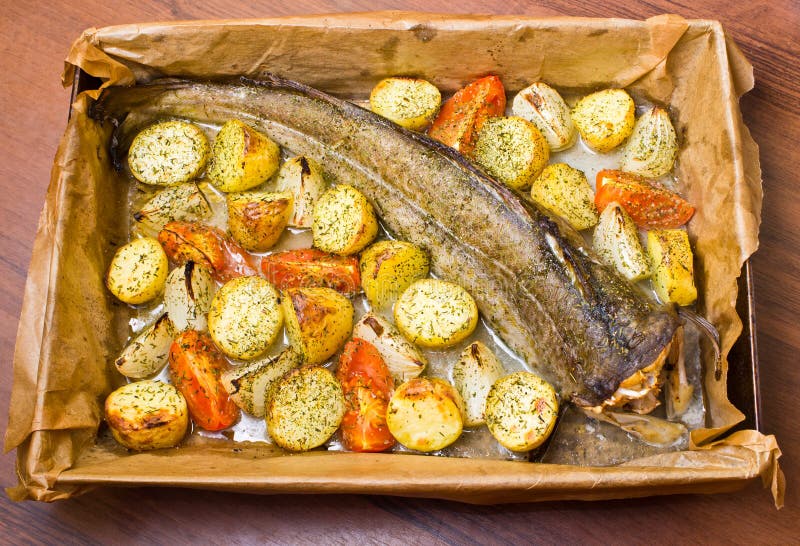 Whole cod with vegetables stock image. Image of dish - 53372803