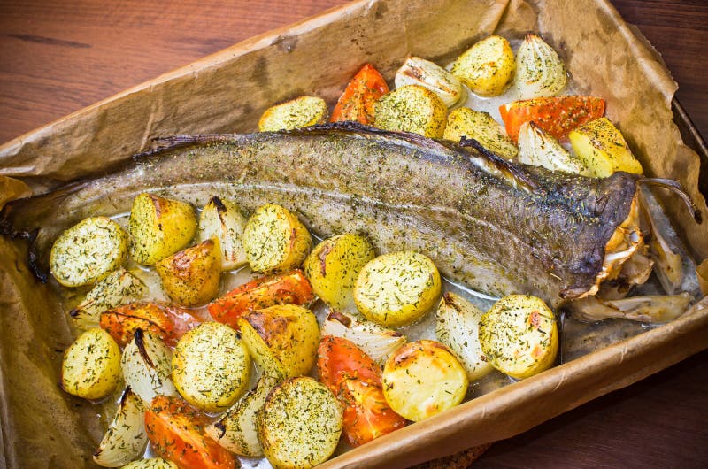 Whole cod with vegetables stock photo. Image of natural - 53647024