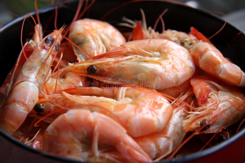 Whole cooked prawns stock image. Image of seafood, fish - 4102867
