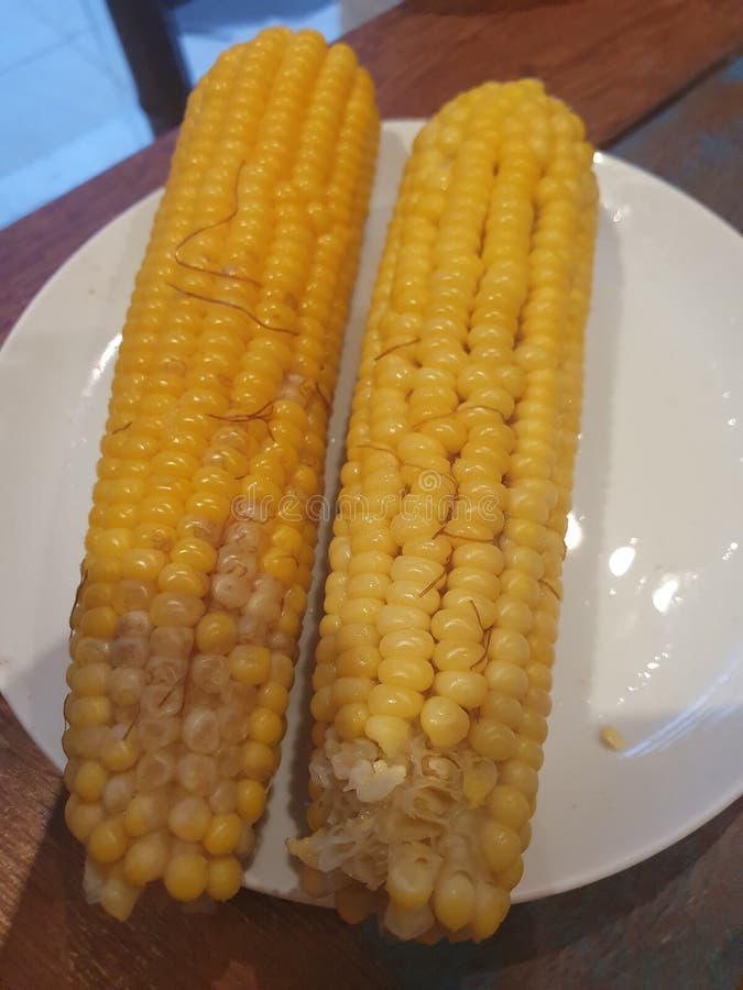 Whole corn grain stock photo. Image of meal, curry, plant - 188741492