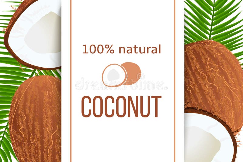 Coconuts with Palm Leaves. Whole and Cracked. Isolated on the White ... Coconuts with Palm Leaves. Whole and Cracked. Isolated on the White ...