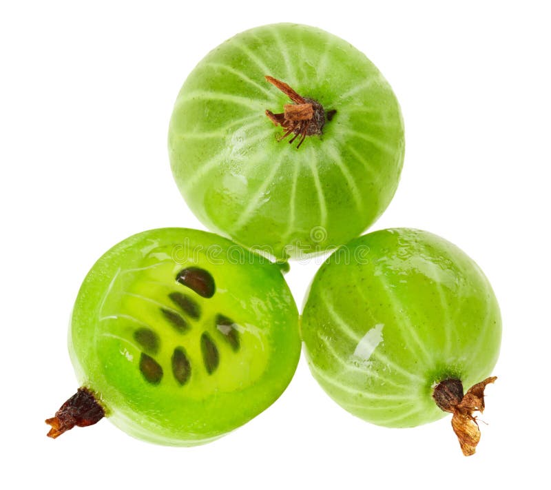 Whole and Cross-section of Gooseberry Fruit Stock Photo - Image of meal ...
