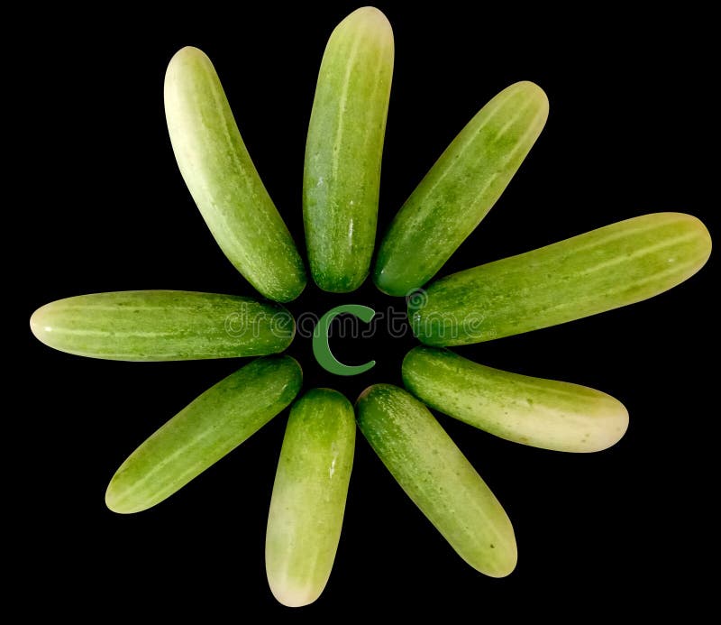 Whole Cucumber Arranged in a Flower Shape Stock Image - Image of ...