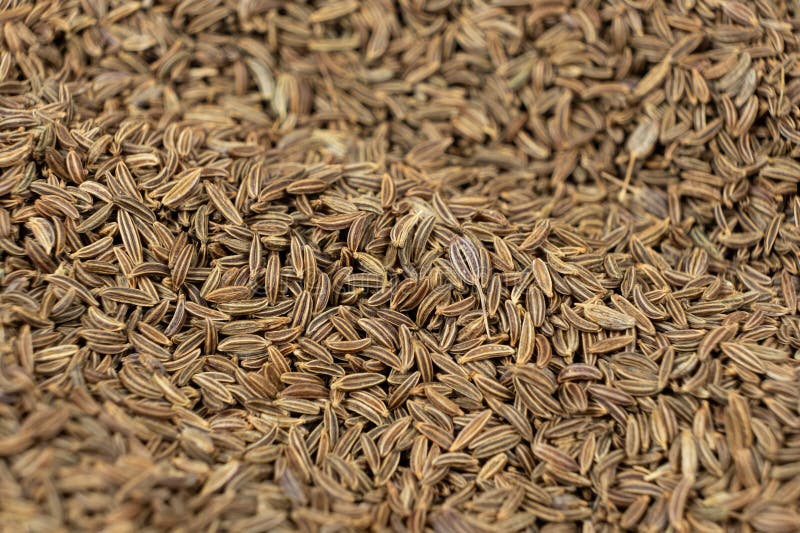 Whole Cumin Seeds Carum Carvi L. Macro Stock Image - Image of seasoning ...