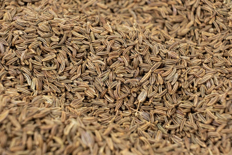 Whole Cumin Seeds Carum Carvi L. Macro Stock Image - Image of macro ...