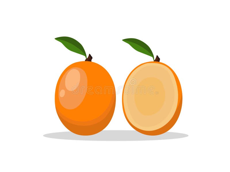 Whole and Cut in Half Beautiful Mango with Shadow on White Background ...