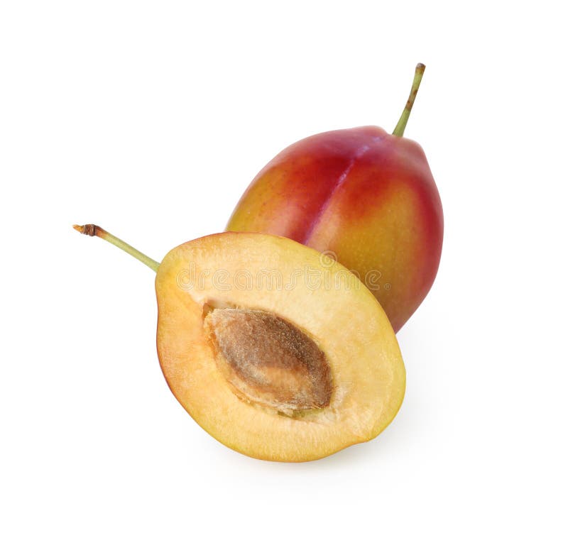 Whole and Cut Ripe Plums Isolated on White Stock Image - Image of ...