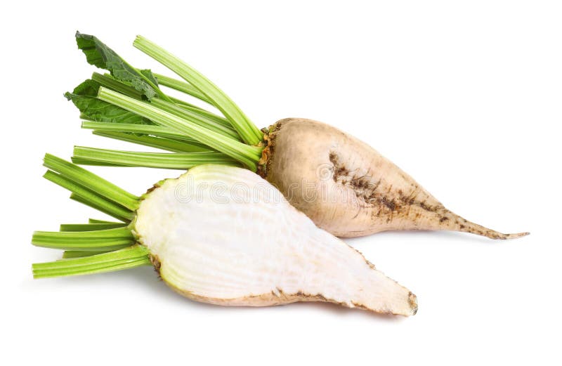 Set with Whole and Cut Sugar Beets on Background. Banner Design Stock ...