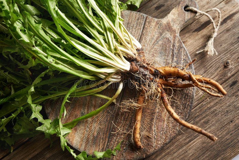 Whole Dandelion Root with Green Leaves on a Table, Top View Stock ...