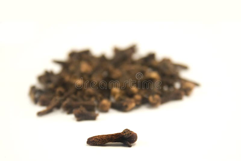 Whole Dried Cloves stock photo. Image of myrtaceae, isolated - 6844368