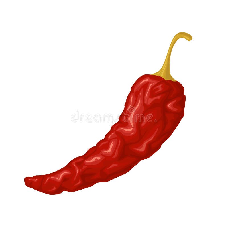 Dried Chilli Vector Stock Illustrations – 224 Dried Chilli Vector Stock ...