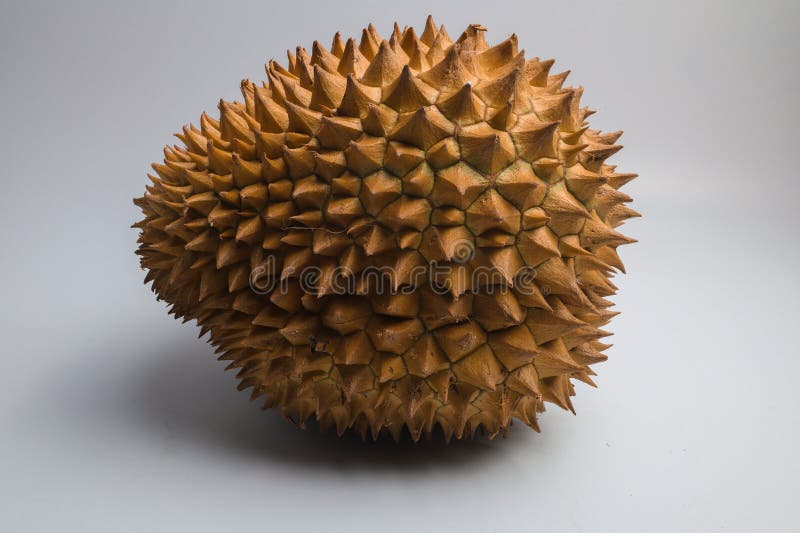 The Whole Durian. Hard and Sharp Spines Stock Image - Image of durian ...