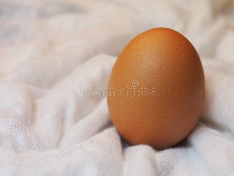 Whole Egg in Shell, White Fabric Stock Image - Image of sitting, easter ...