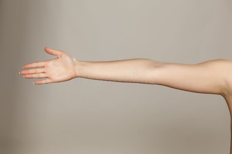 Whole female hand stock image. Image of assistance, palm - 84592713