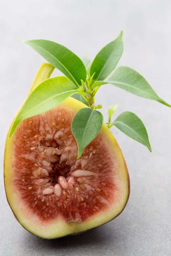 Whole Figs and One Fig Sliced in Half on Top of a Gray Table. Stock ...