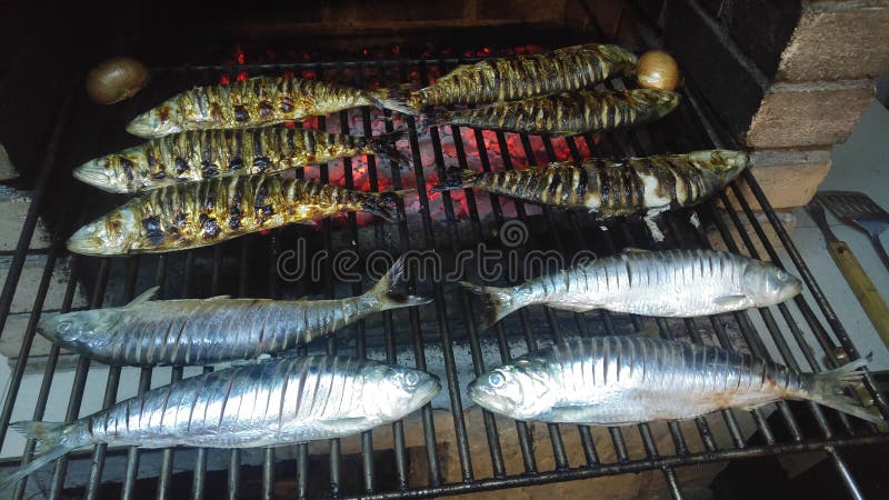 Whole fish on grill stock image. Image of metal, fish - 89754063