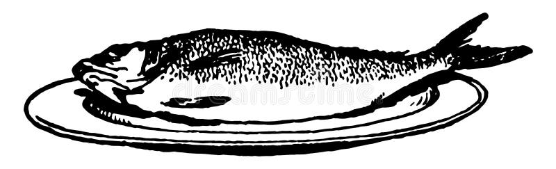 Whole fish stock vector. Illustration of cartoony, vector - 5392489