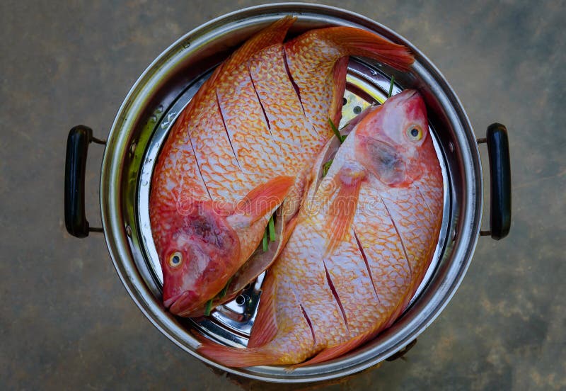 Whole Fish Steamed Steam Pot Stock Photos - Free & Royalty-Free Stock ...