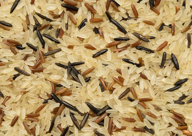 Whole Food Background with Rice Stock Photo - Image of lump, mixture ...