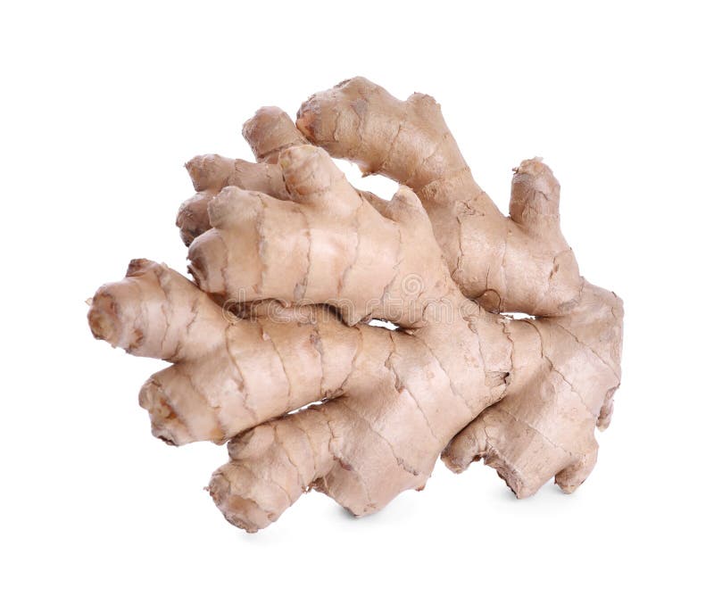 Whole Fresh Ginger Root Isolated on White Stock Image - Image of plant ... Whole Fresh Ginger Root Isolated on White Stock Image - Image of plant ...